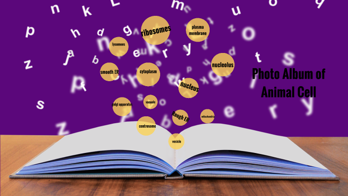 Animal Cell Photo Album by Suead Gabre on Prezi