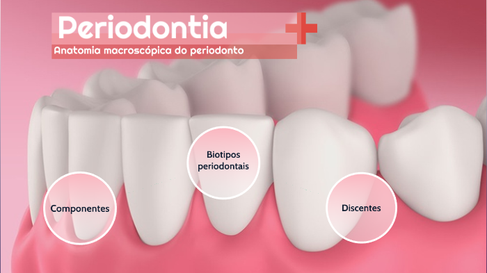 Periodontia by Otávio Augusto Pacheco on Prezi