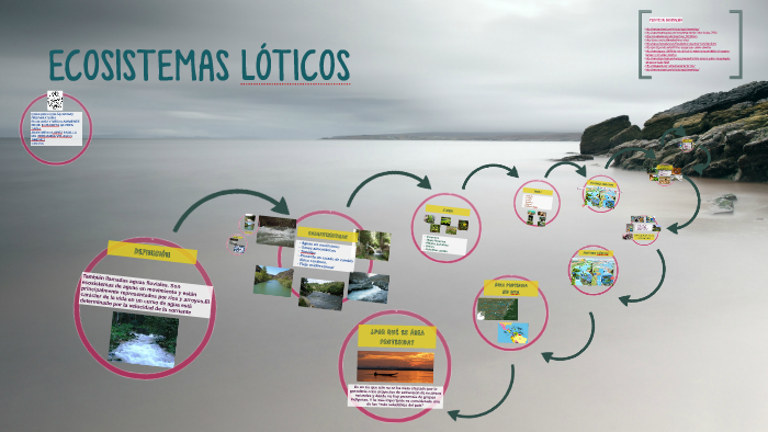 ECOSISTEMAS LÓTICOS by Fernanda Jimenez on Prezi