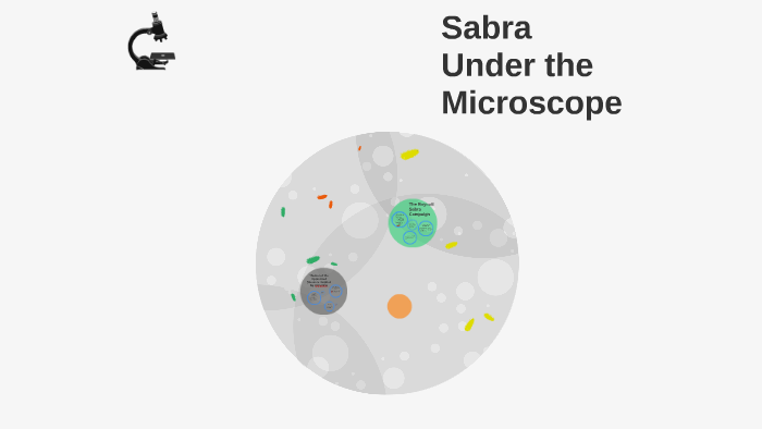 Closer Look at BDS: The Boycott Sabra Campaign by SJP UF on Prezi