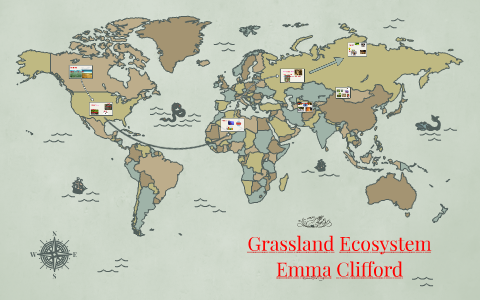 Grassland Ecosystem by Jessica McBee