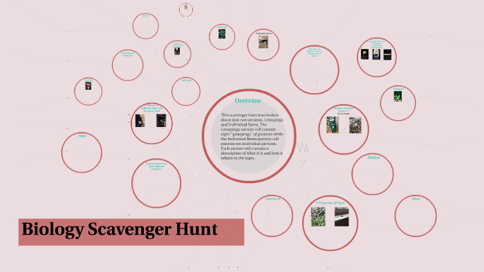 Biology Scavenger Hunt by Gannon Devlin on Prezi