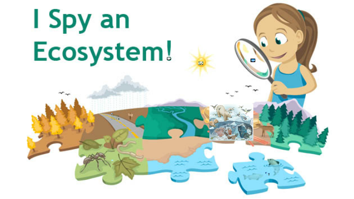 I Spy an Ecosystem by Kelly Mitchell on Prezi