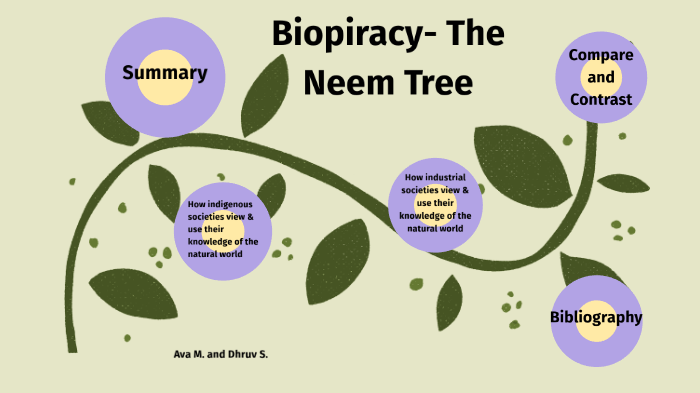 Biopiracy- The Neem Tree by Dhruv Shrivastava on Prezi