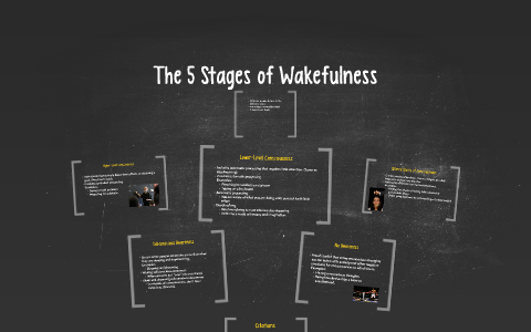 The 5 Stages of wakefulness by marissa sebring on Prezi