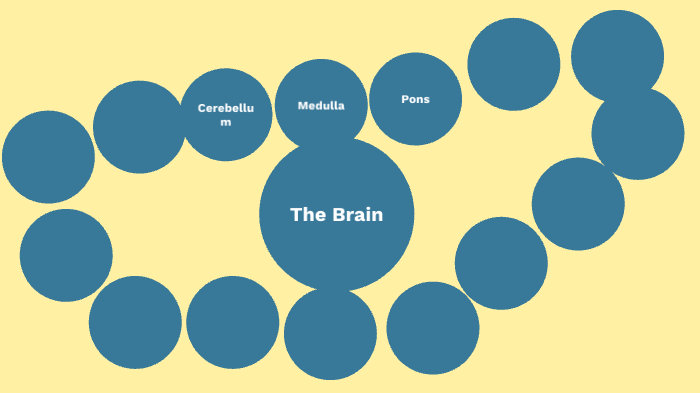 AP Psychology Brain While Driving Mind Map by Carl Williams on Prezi