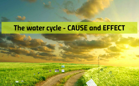The water cycle - Cause and effect by Donetta Mounfield on Prezi
