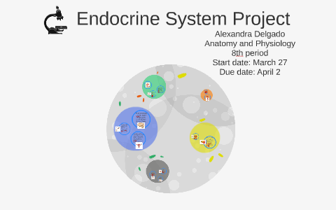 Endocrine System Project by Alexandra Delgado on Prezi