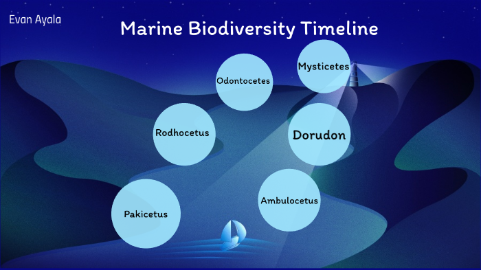 Marine Biodiversity Timeline by Evan Ayala on Prezi