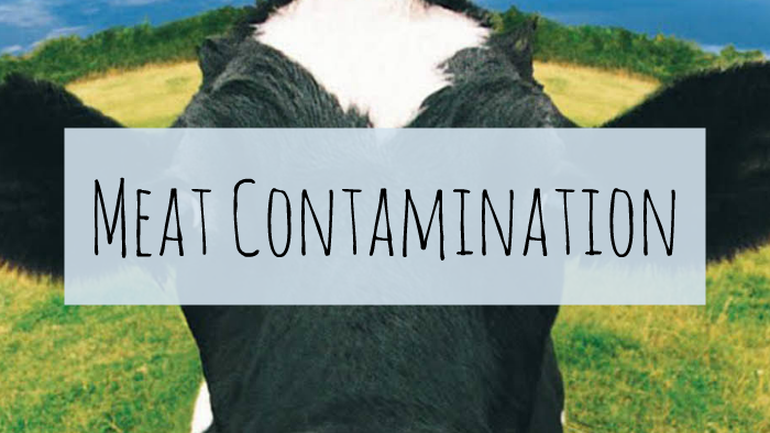 Meat Contamination by Alondra Flores on Prezi