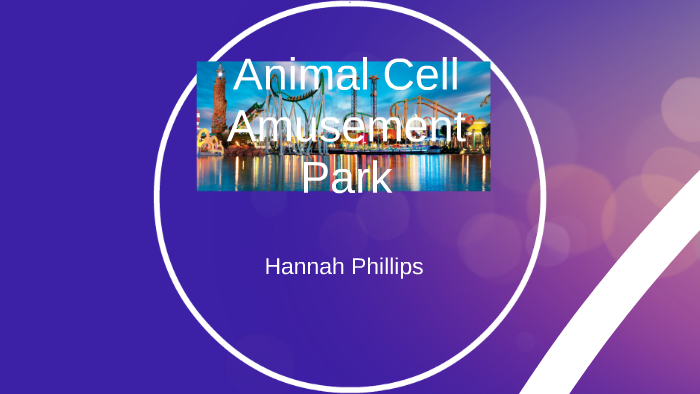 Animal cell amusement park by hannah phillips on Prezi