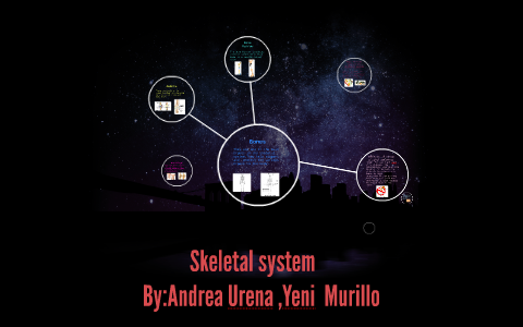 Skeletal system by andrea urena on Prezi