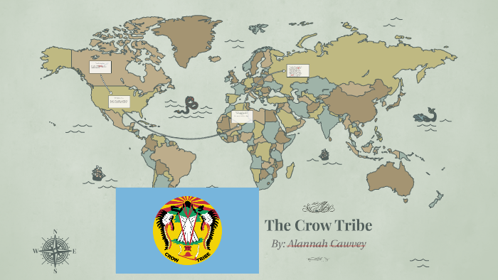 The Crow Tribe by Alannah Cawvey on Prezi