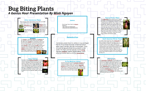 Bug Biting Plants by Minh Nguyen on Prezi