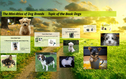 The Mini-Atlas of Dog Breeds by Judi Hobbs on Prezi