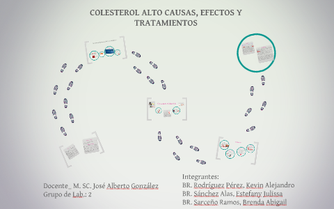 Causas Del Colesterol Alto Esodysseedubienetrebe