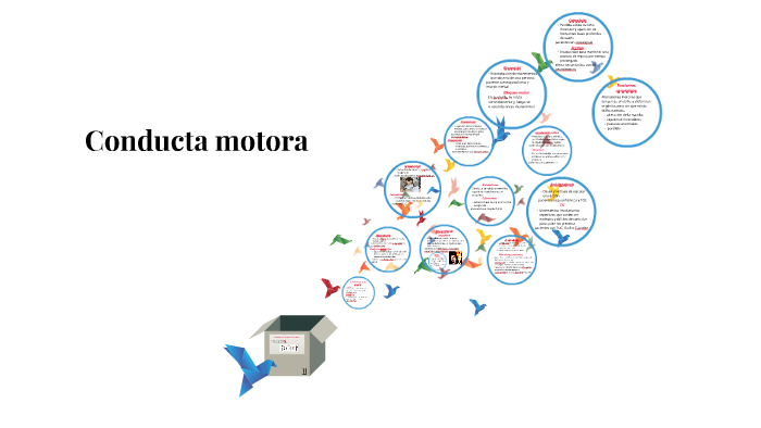 Conducta motora by Camila Barreto on Prezi