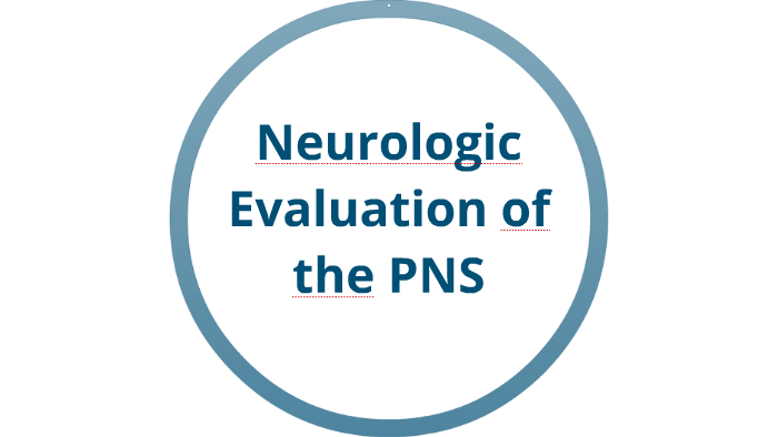 Nerve roots and Sclerotomal referral patterns C/T/L spine by mark ...