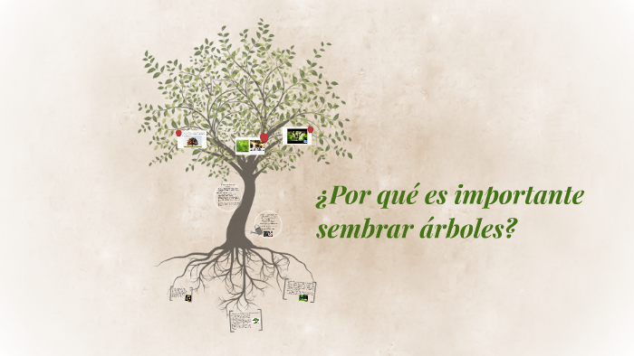 ¿Por qué es importante sembrar árboles? by Cristabel Coché Colorado on ...