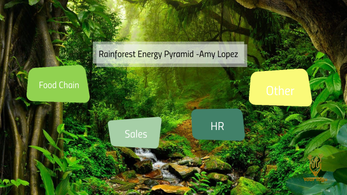 Rainforest energy pyramid by Amy Lopez on Prezi