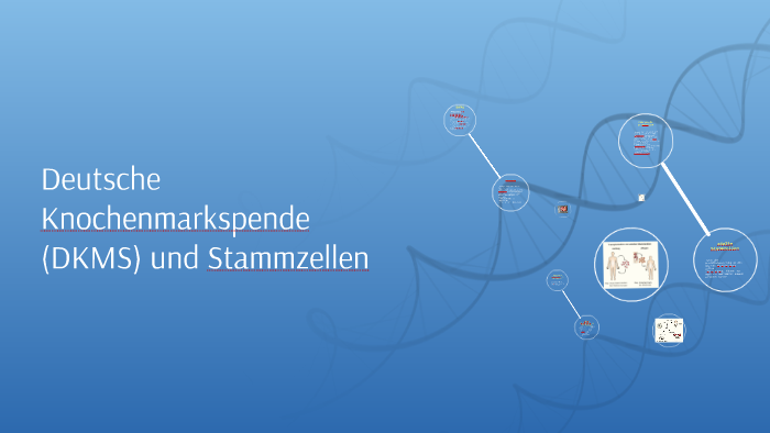 Deutsche Knochenmarkspende by Friederike Friedrich on Prezi