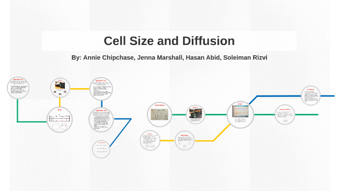 Cell Size and Diffusion by Annie Chipchase on Prezi