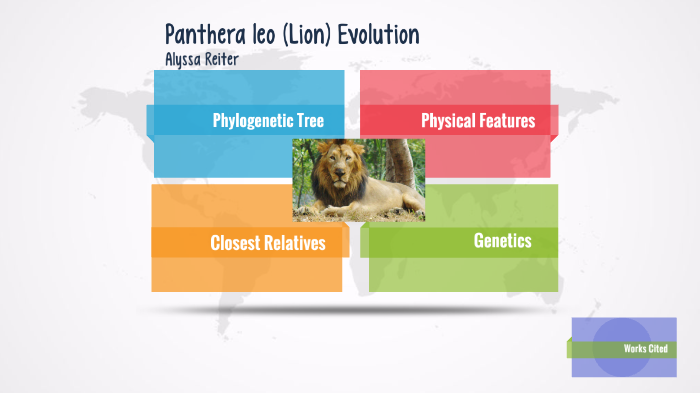 Lion Evolution by Alyssa Reiter on Prezi