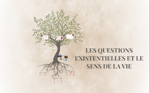LES QUESTIONS EXISTENTIELLES ET LE SENS DE LA VIE by Ignace Bouchard on ...