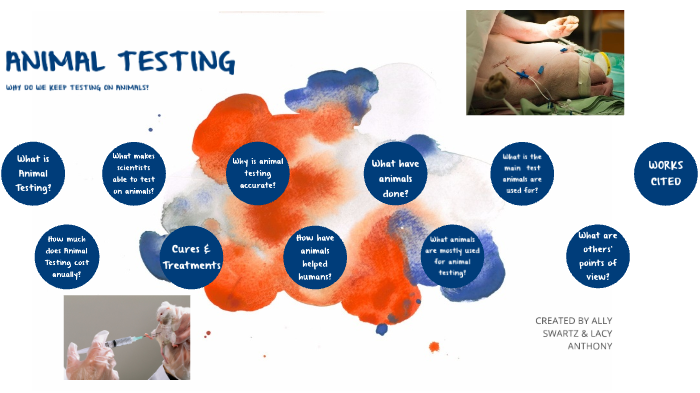 ANIMAL TESTING by ally swartz on Prezi