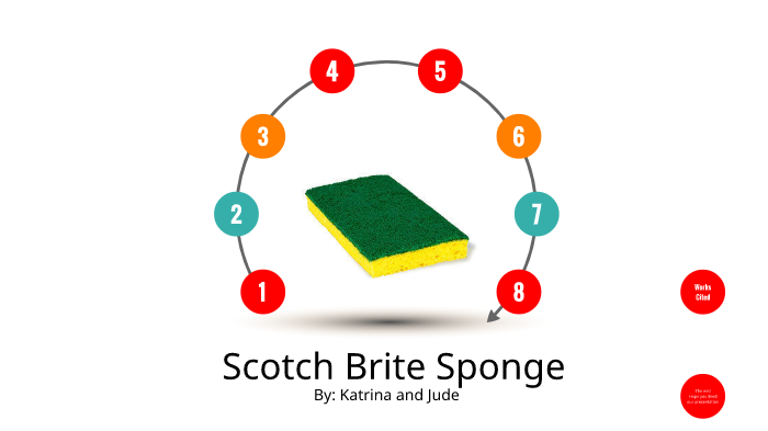 Sponge Life Cycle by Katrina Hubacek on Prezi