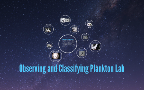 Observing and Classifying Plankton Lab by Justin Hewitt on Prezi