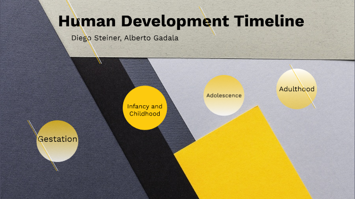 Human Development Timeline by Diego Steiner on Prezi