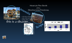 The Outlook of Blue Stain Commercial Construction by Whitney Hake on Prezi