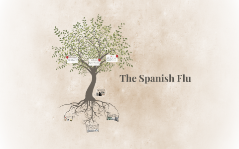 The Spanish Flu by Haley Latham on Prezi