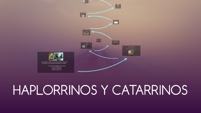 HAPLORRINOS Y CATARRINOS by sara mendoza on Prezi
