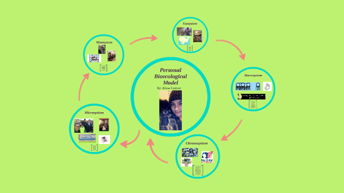 Personal Bioecological Model by on Prezi