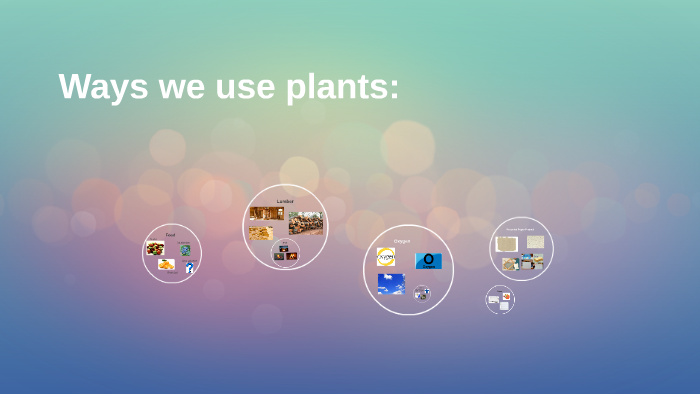 Ways we use plants: by Sarah H. on Prezi