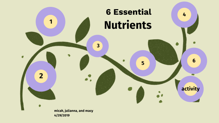 6 essential nutrients by micah marshall on Prezi