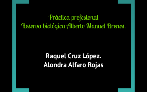 Práctica profesional by Alondra Alfaro