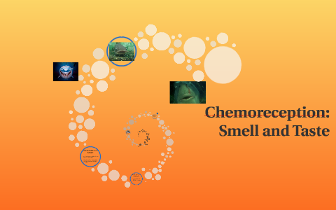Chemoreception: Smell and Taste by Faith Nichols on Prezi