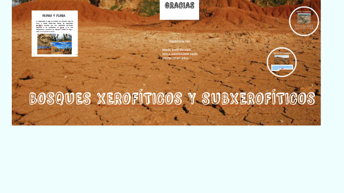 BOSQUES XEROFÍTICOS Y SUBXEROFÍTICOS by paula montealegre on Prezi