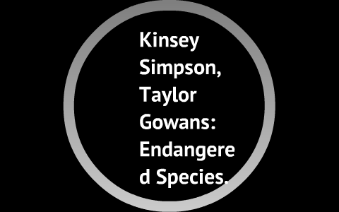 Endangered Species: Kinsey Simpson, Taylor Gowans by Taylor Gowans
