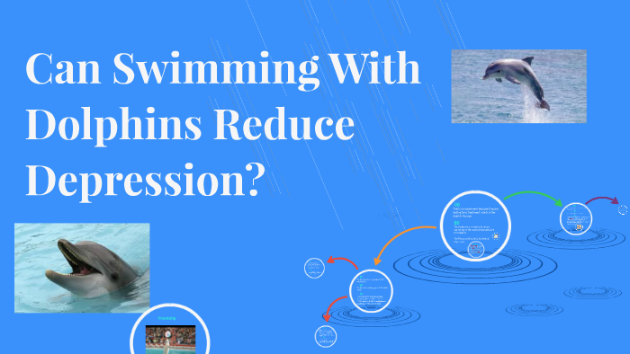Can Swimming With Dolphins Reduce Depression? by Liam Nixon on Prezi
