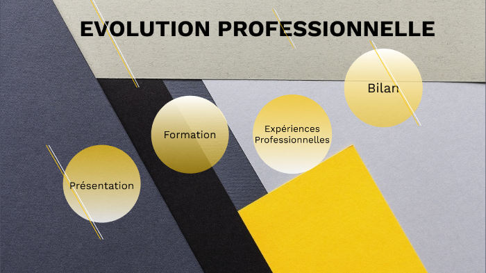 Evolution Professionnelle by Mathilde Grosjean on Prezi