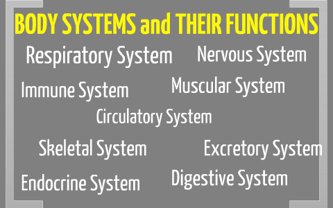 Body Systems and Their Functions by Rebecca Thompson on Prezi