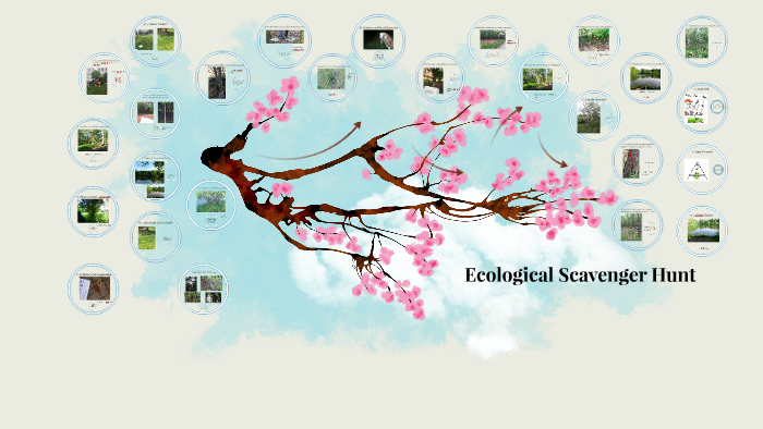A. Humans and Wildlife Share Environments by Rhea Jhamb on Prezi