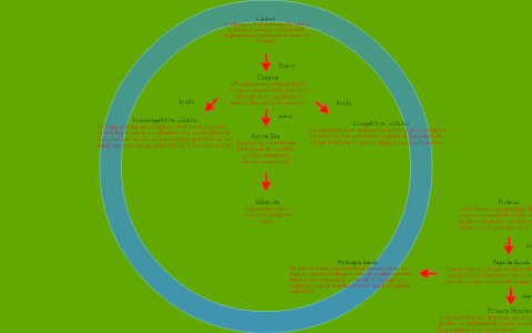 Biology Chapter 6: Concept Map by Vasthy Apollon on Prezi