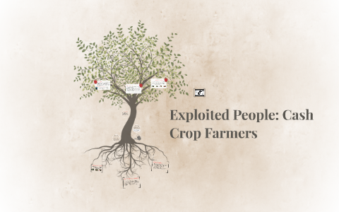 Exploited People: Cash Crop Farmers by on Prezi