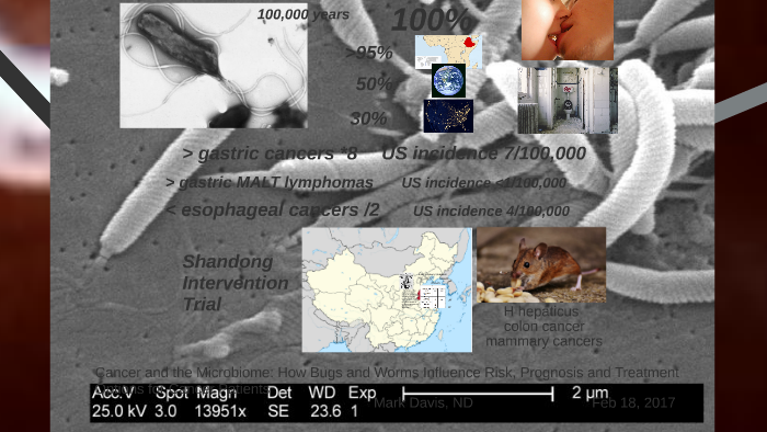 Cancer and the Microbiome: How Bugs and Worms Influence Risk by Mark ...