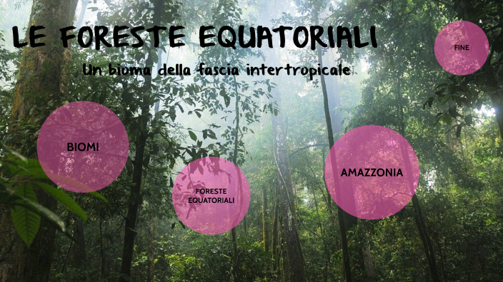 LE FORESTE EQUATORIALI by Angelica Bottega on Prezi